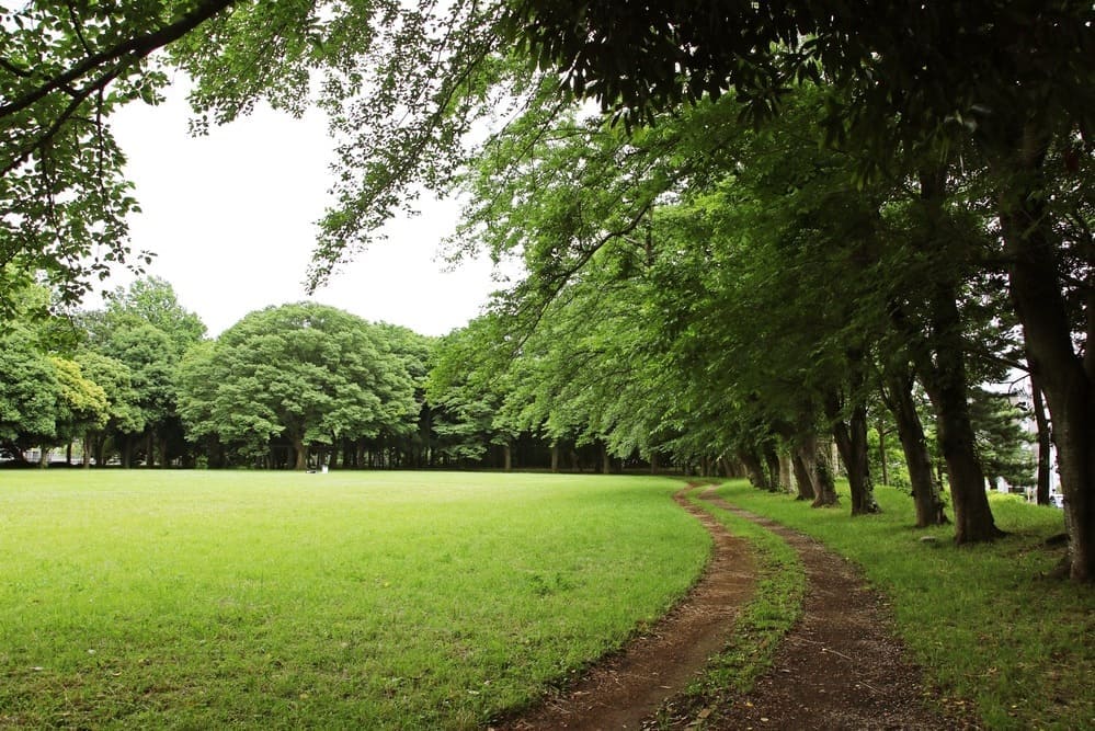 Parque do Cocó: Onde Fica, Como Chegar E O Que Fazer?