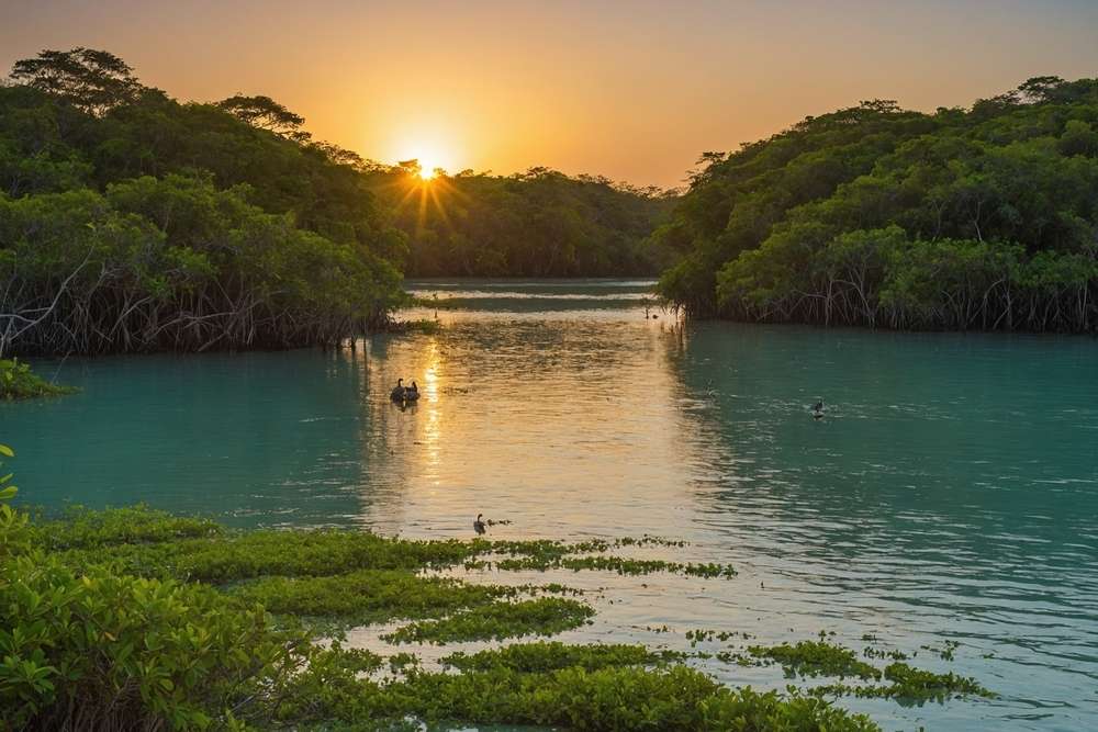 Delta do Parnaíba: onde fica, o que fazer e por que conhecer?